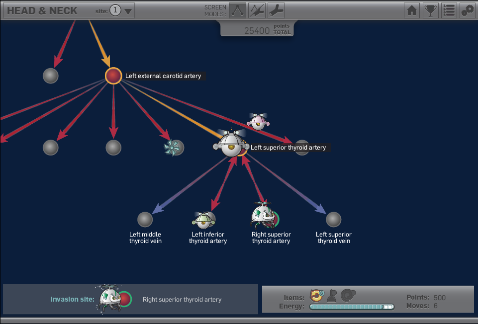 Vascular Invaders – Science Vis Lab