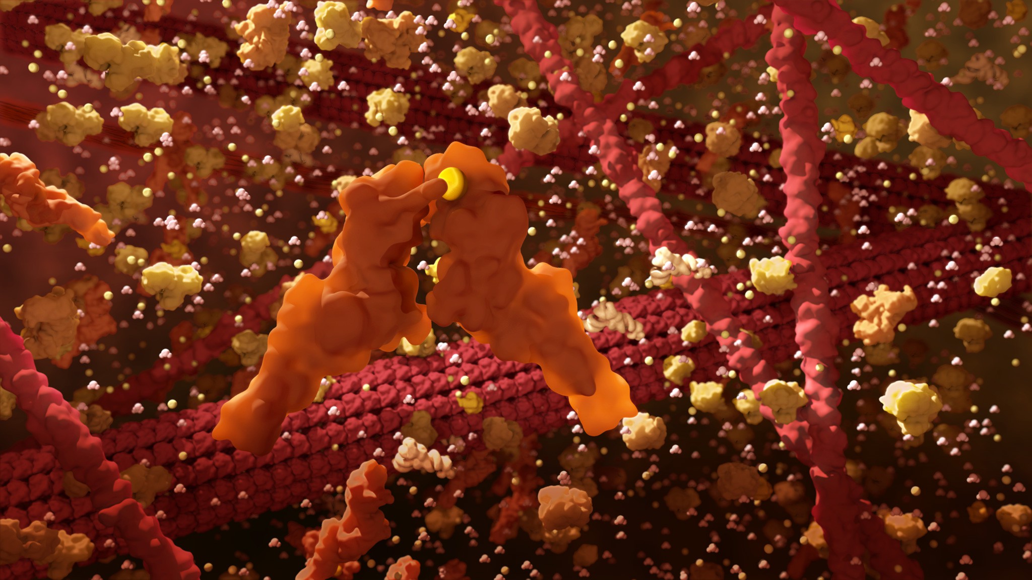 Inner Dynamics of the Cell – Science Vis Lab